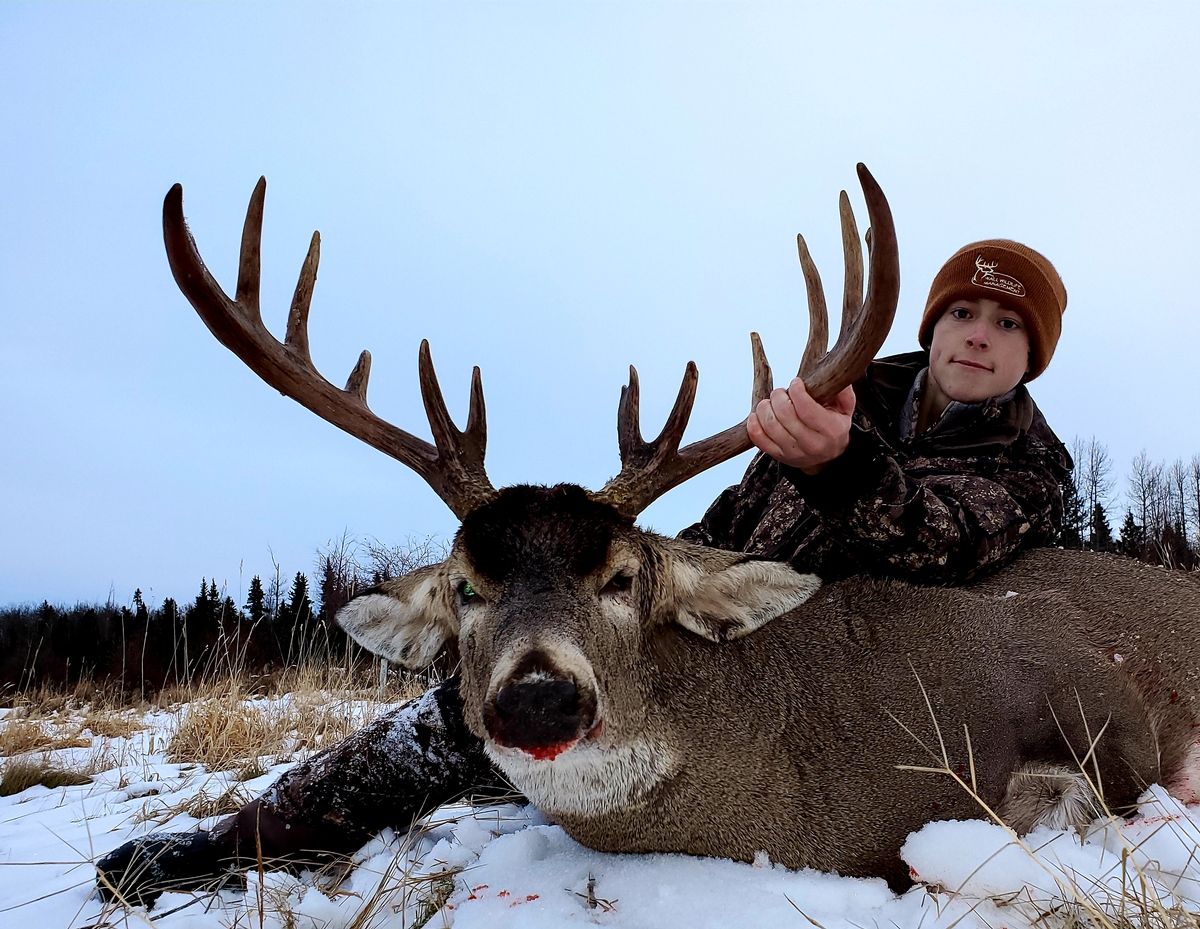 Guided Alberta Rifle Whitetail Hunts - Alberta Whitetail Hunting Guided Alberta Rifle Whitetail Hunts - Alberta Whitetail Hunting